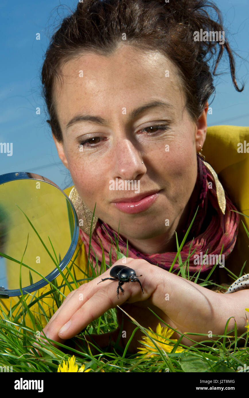Dr.Sarah Beynon an entomologist, with British Dung Beetle (Geotrupes ...
