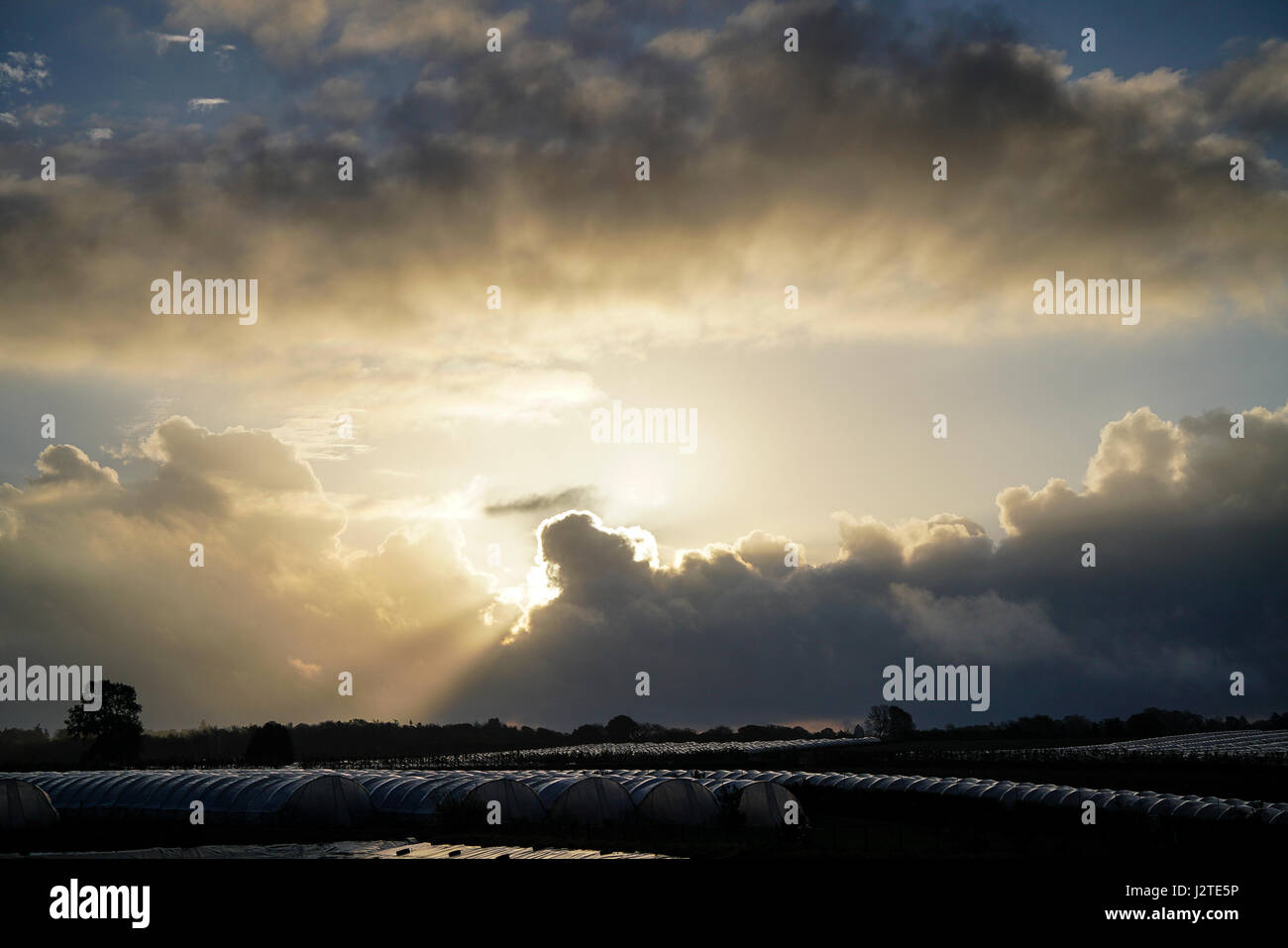 Surrey hills bank hi-res stock photography and images - Alamy