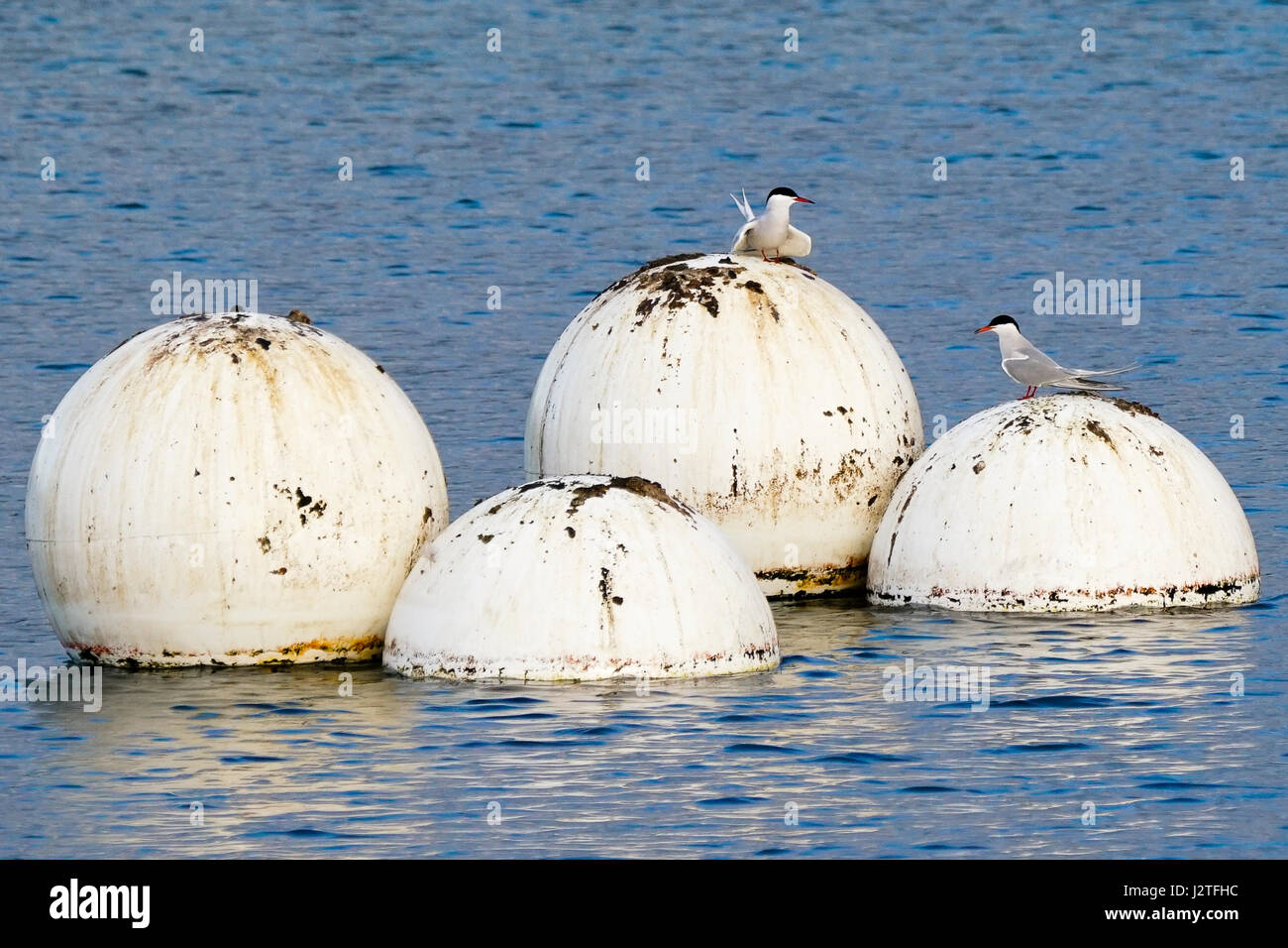 Surrey hills bank hi-res stock photography and images - Alamy