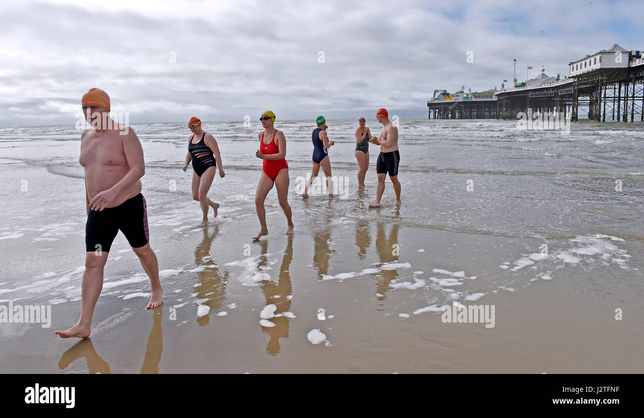 Brighton, UK. 1st May, 2017. Swimmers from Brighton Swimming Club enjoy ...
