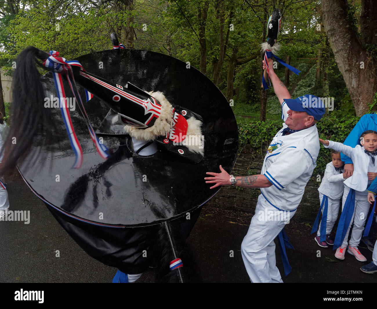 May day, Padstow, Cornwall, UK, 1st May,2017. Beltane Obby Oss ...