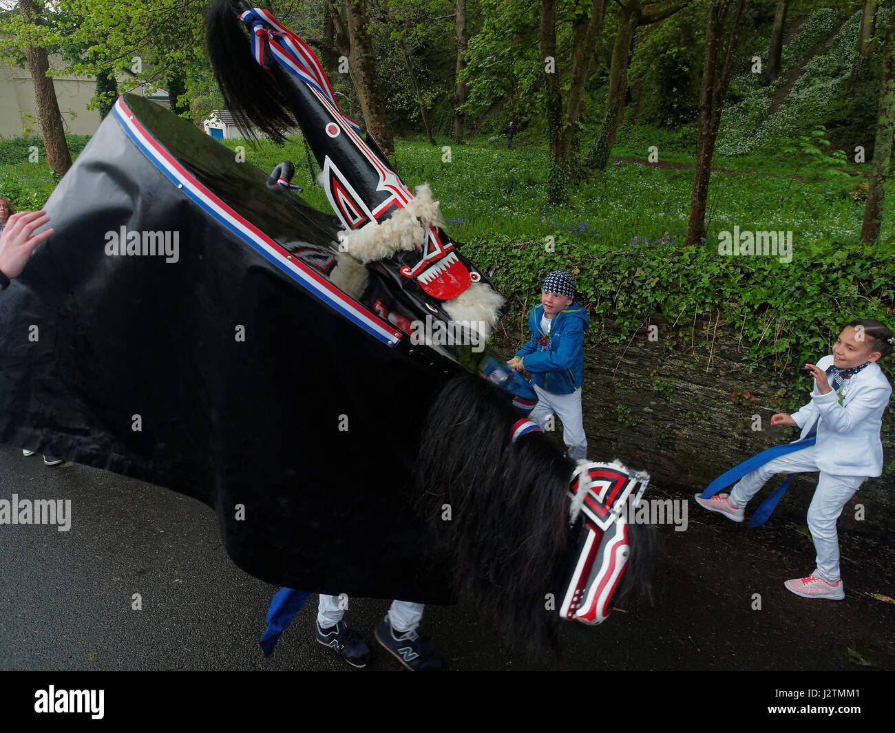 May day, Padstow, Cornwall, UK, 1st May,2017. Beltane Obby Oss ...