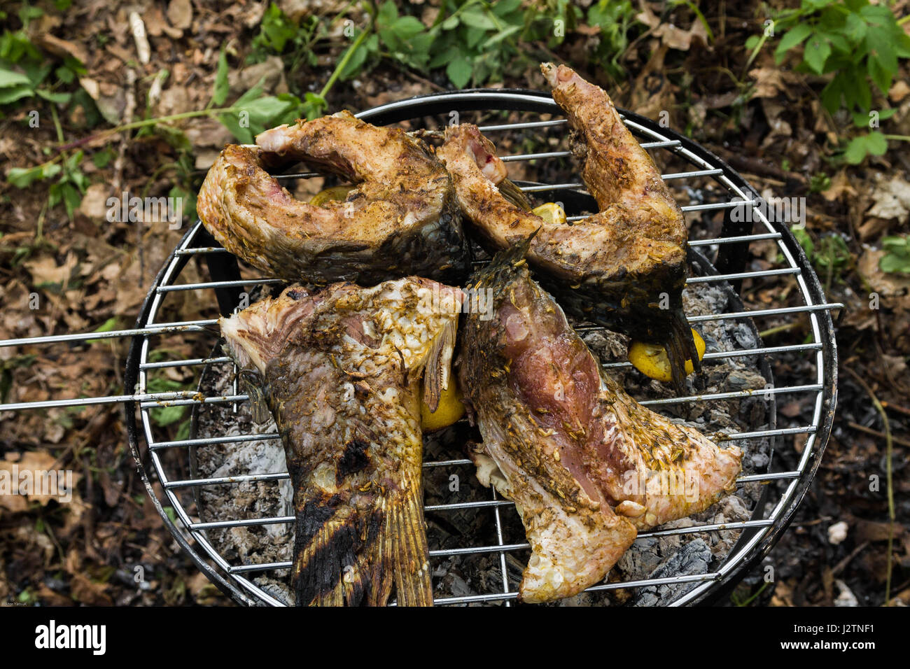 Sliced fish for cooking steaks. BBQ. Grill Stock Photo - Alamy