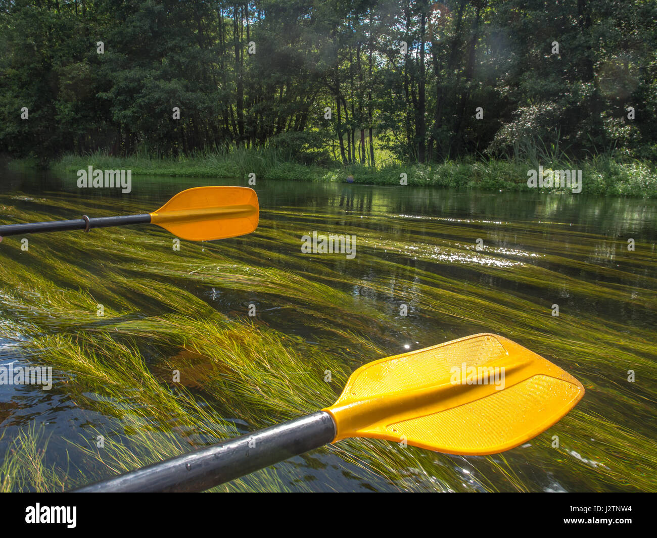 Paddles and their reflection in the river Stock Photo - Alamy