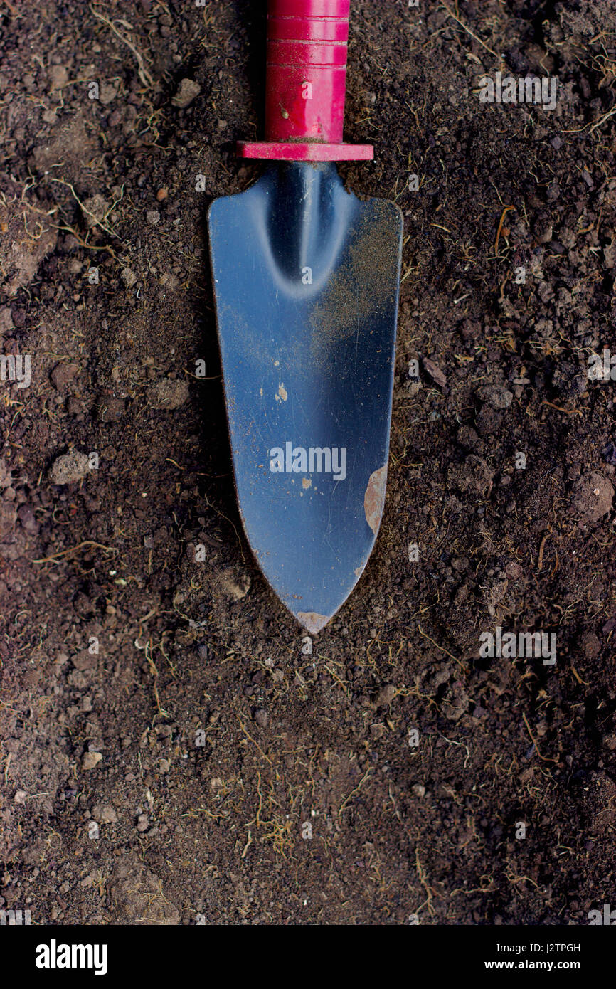 Gardening - small garden trowel on soil Stock Photo - Alamy