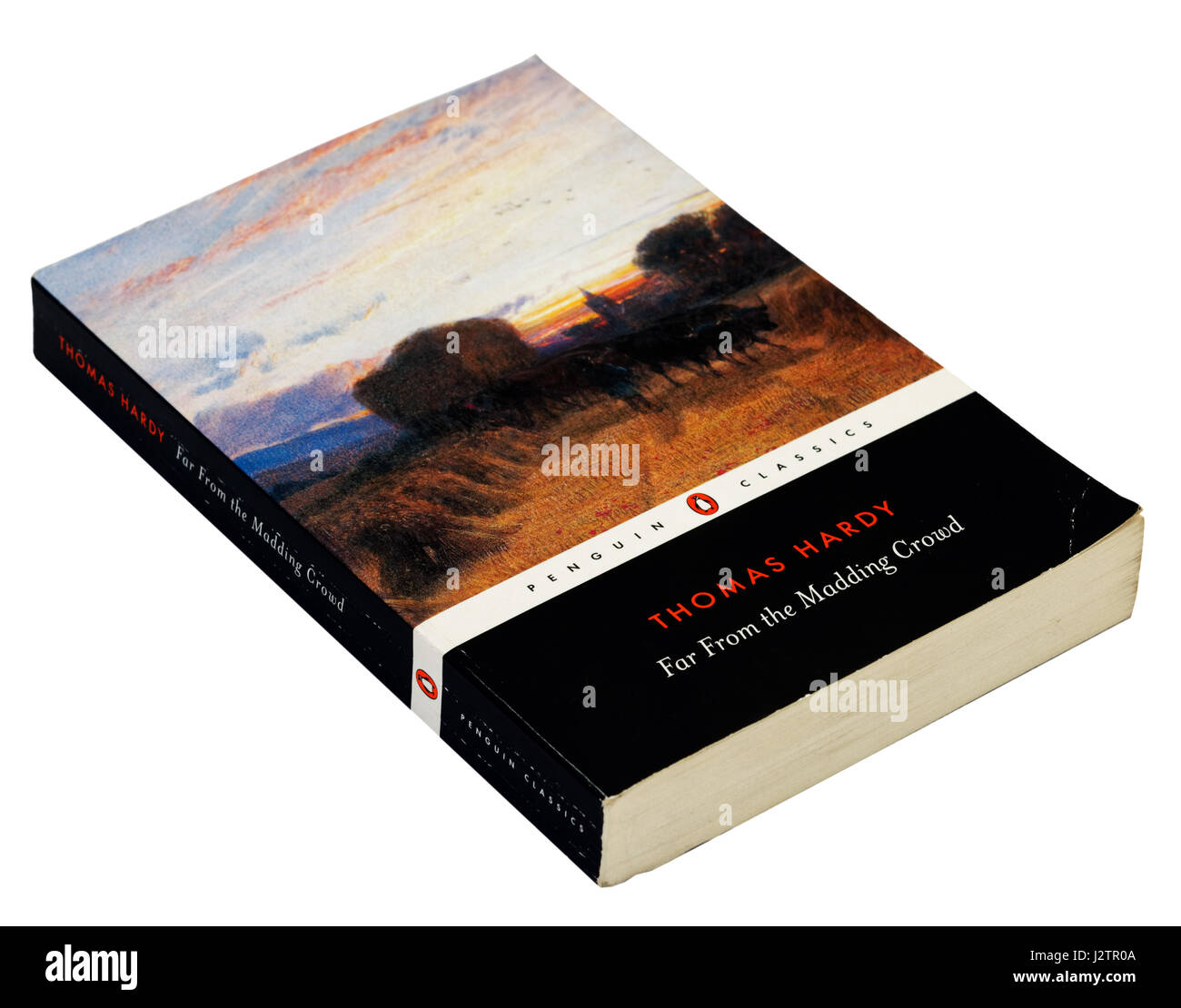 This far Cut Out Stock Images & Pictures - Alamy