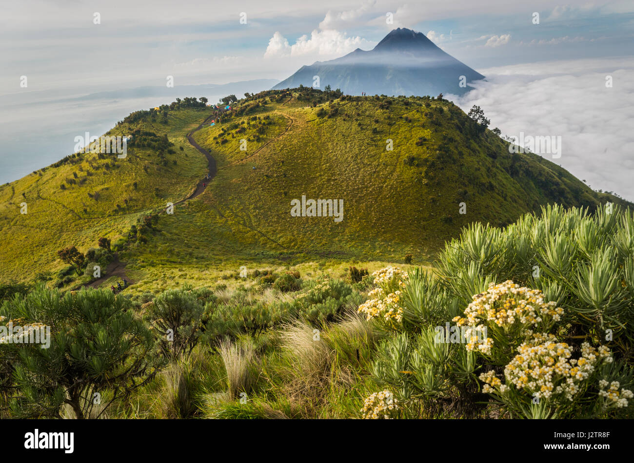 Mt merapi hi-res stock photography and images - Alamy