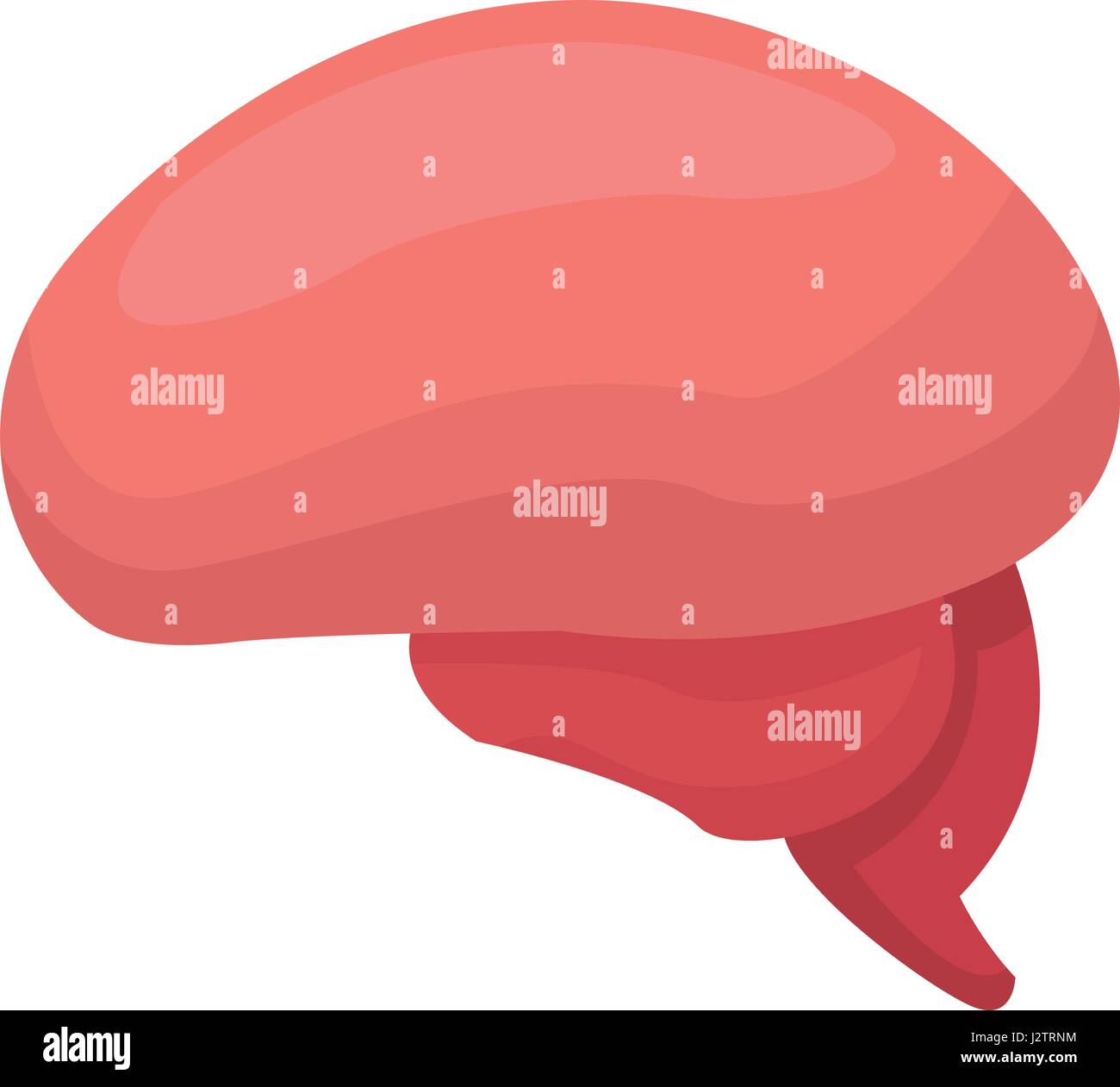 brian organ human mind healthy Stock Vector Image & Art - Alamy