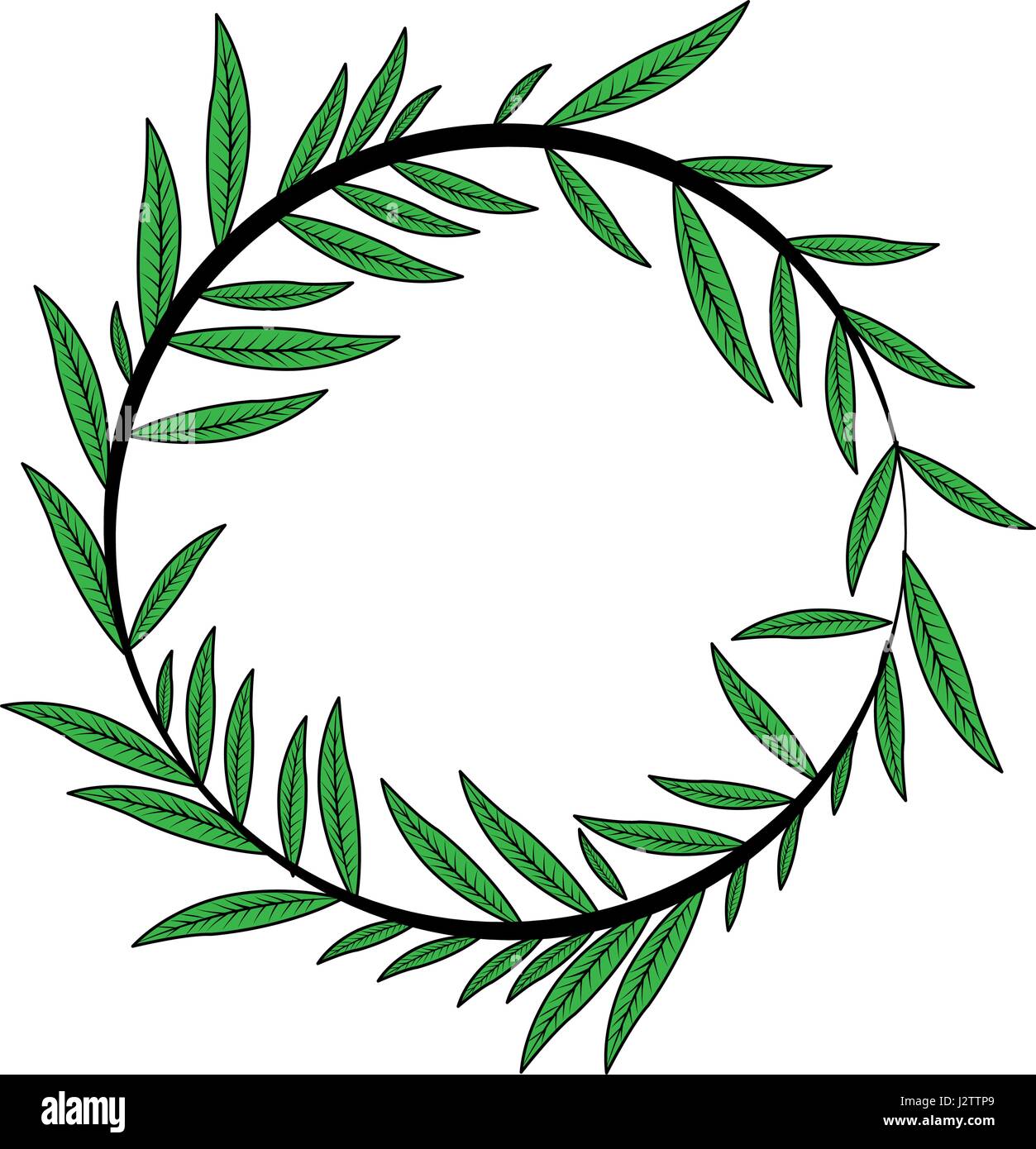 color image decorative crown of elongated leaves in circular shape ...