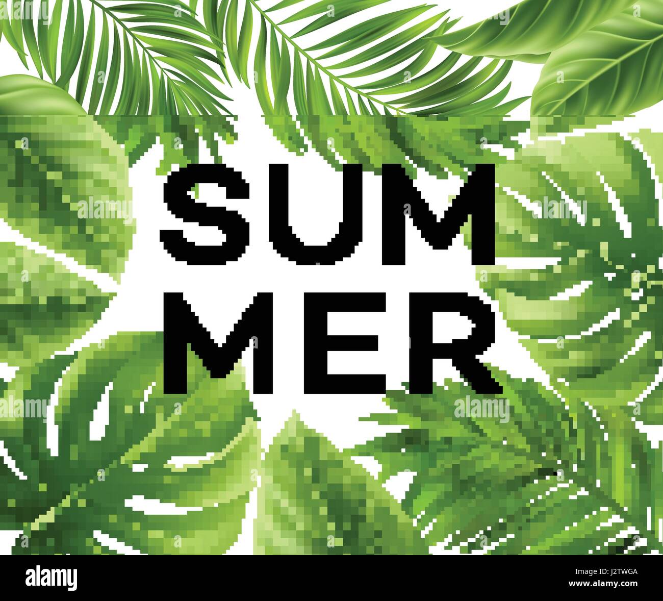 Summer poster with tropical palm leaf . Vector illustration Stock ...