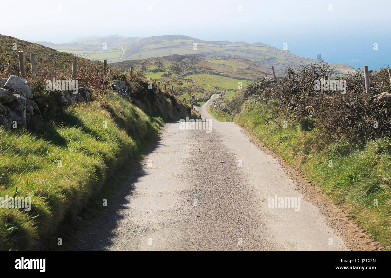 Long country lane road on Cape Clear Island, County Cork, Ireland ...