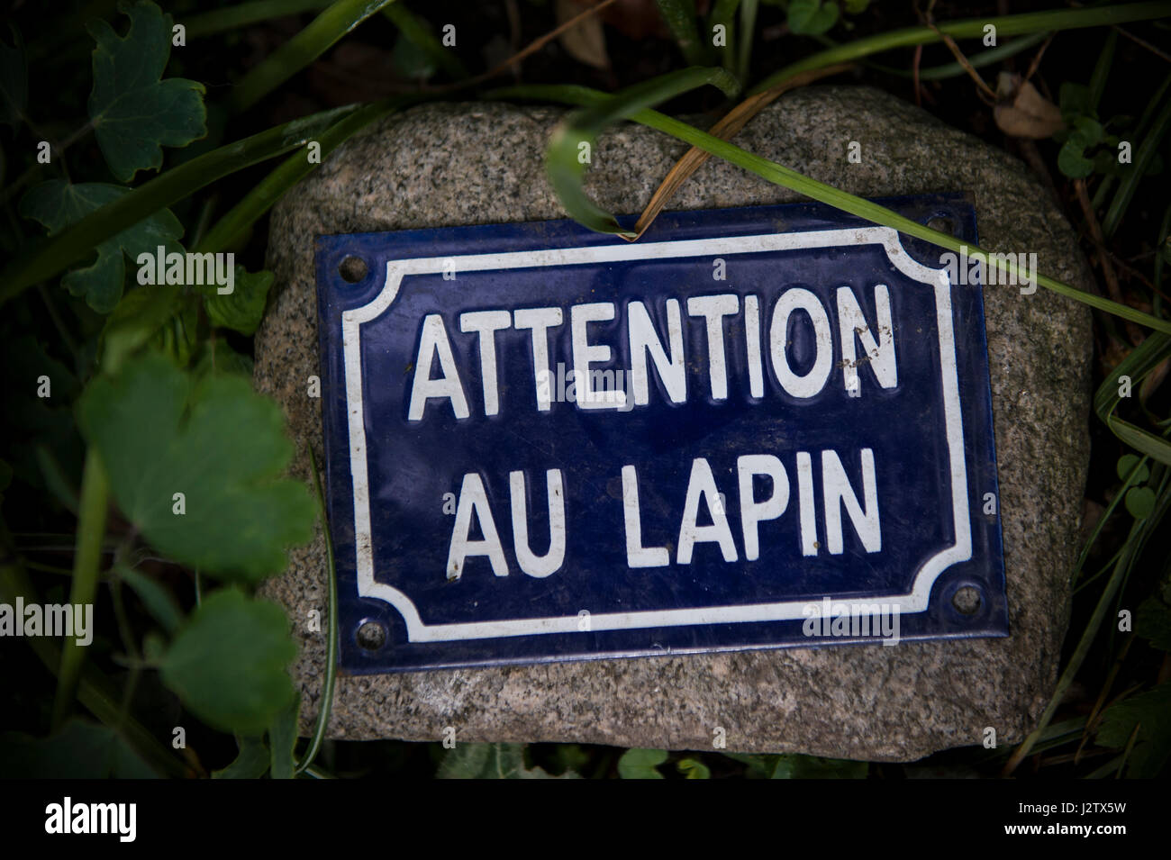 A French sign 'Attention au Lapin' (Beware of the rabbit Stock Photo ...