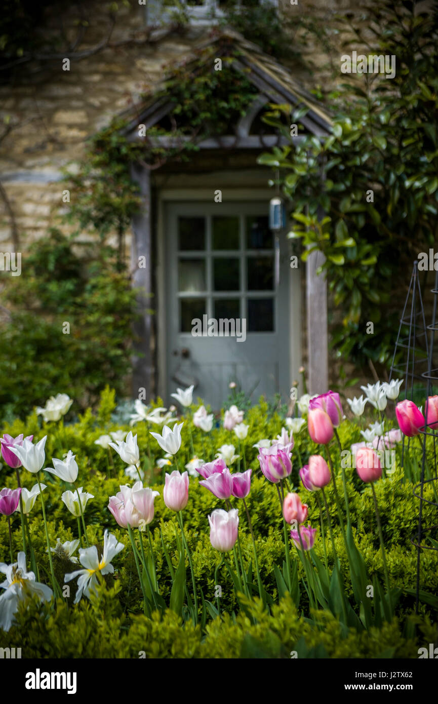 A country cottage garden in springtime Stock Photo - Alamy