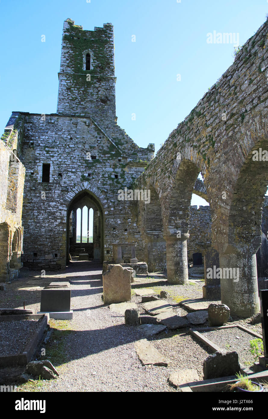 Historic ruins of Timoleague Friary, County Cork, Ireland, Irish ...