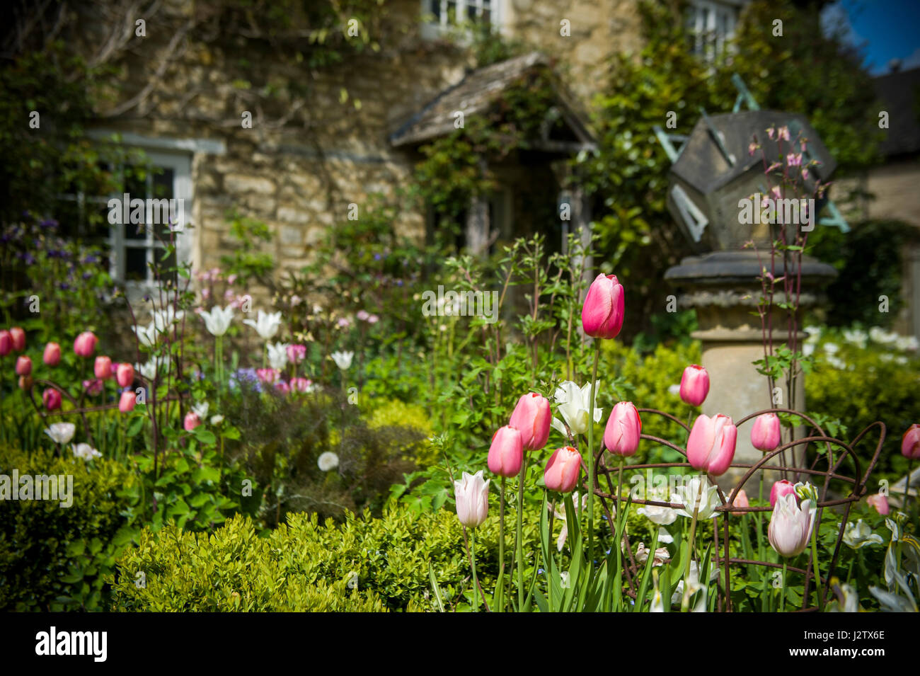A country cottage garden in springtime Stock Photo - Alamy