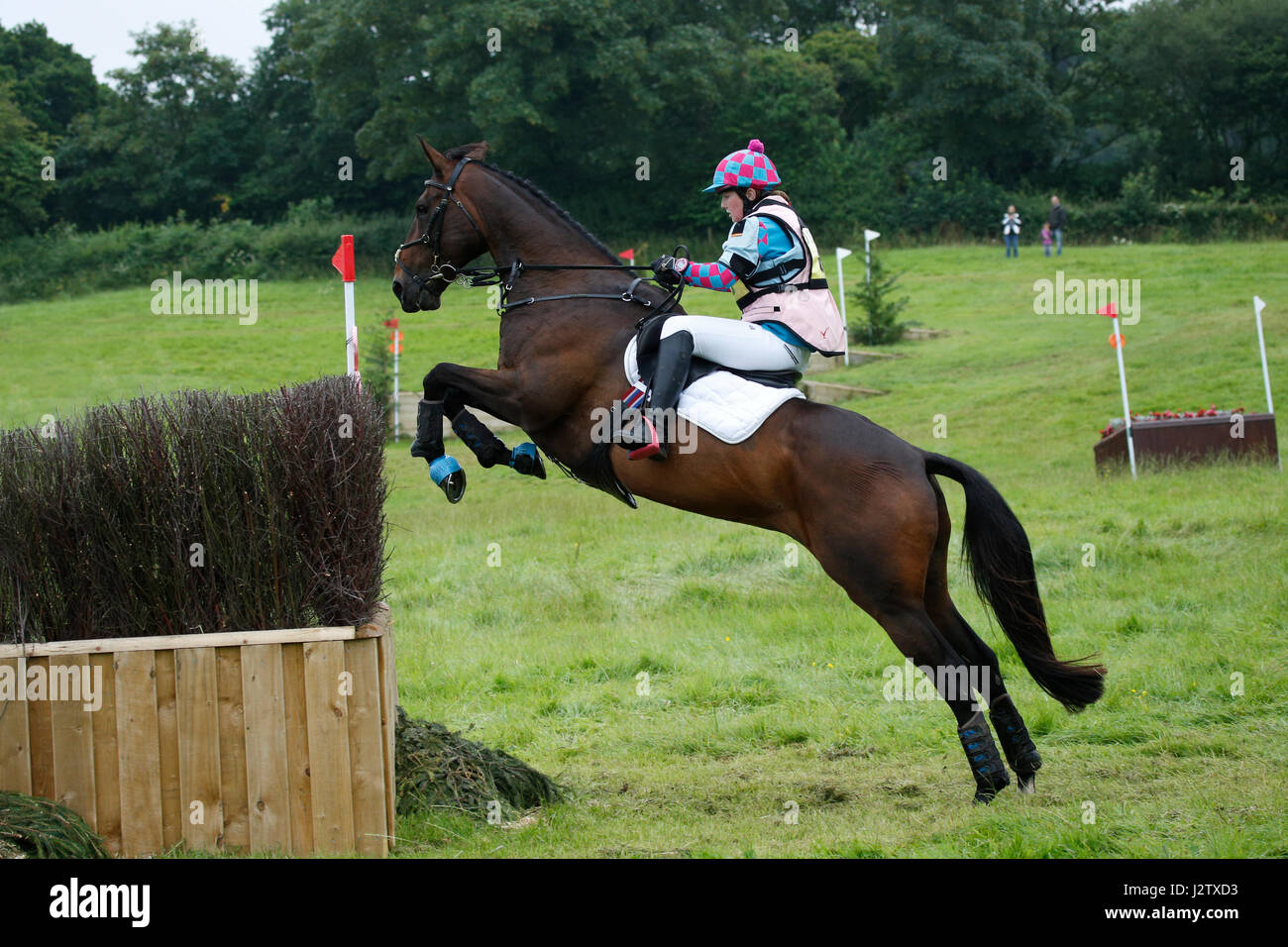 Horse jumping hi-res stock photography and images - Alamy