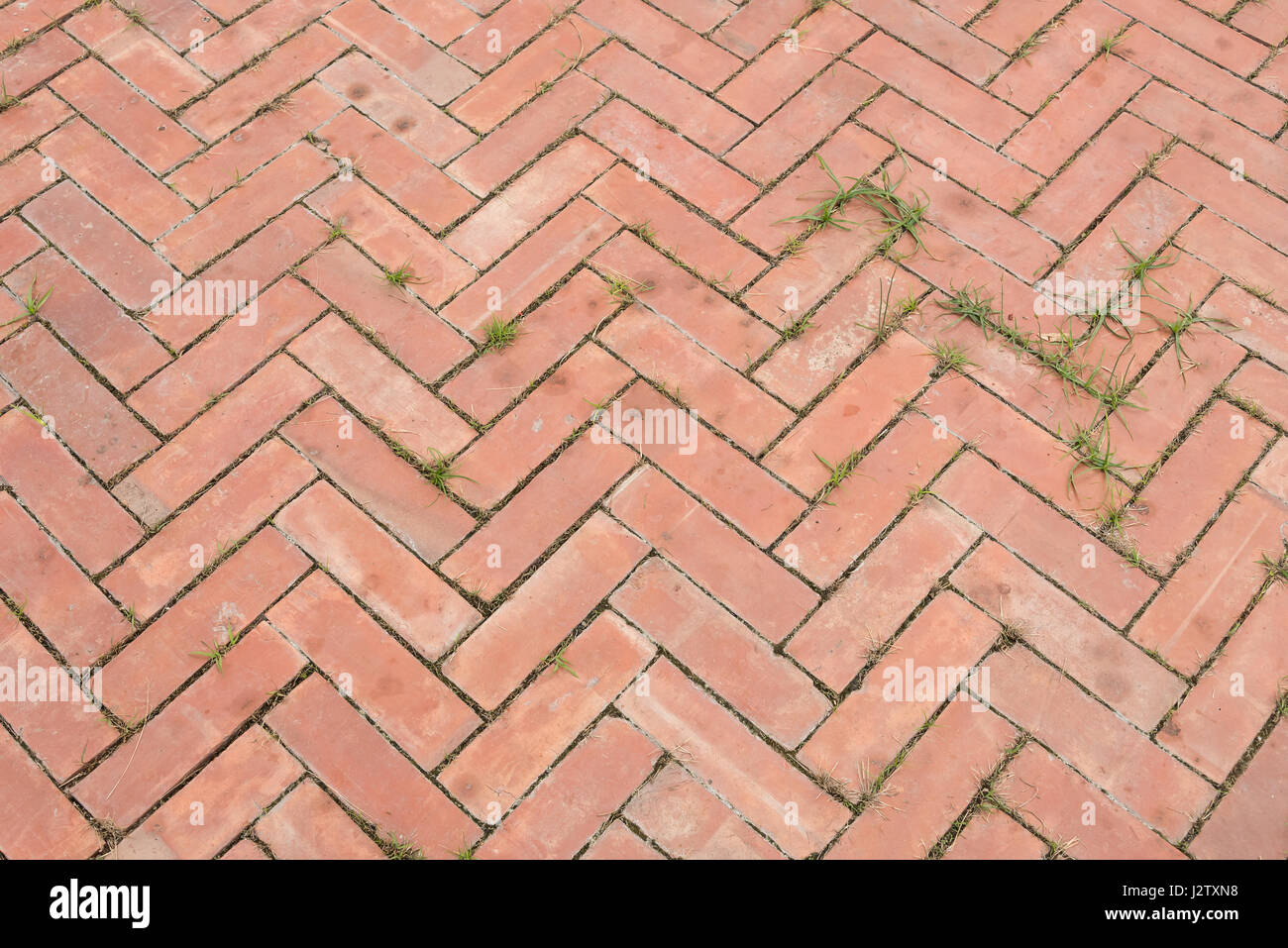 Pattern or texture of pavement in the park Stock Photo - Alamy