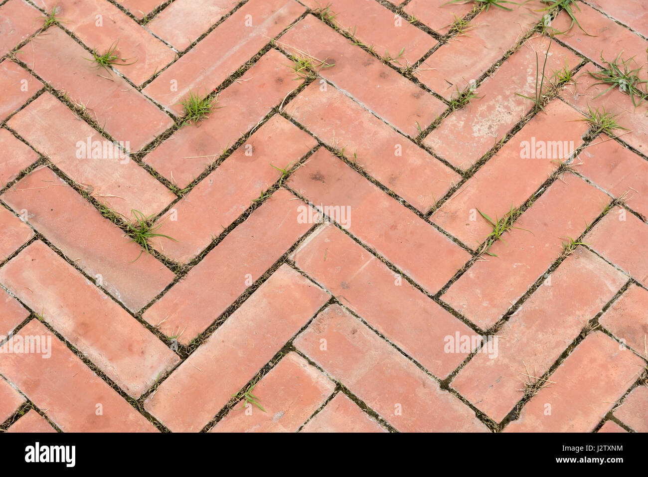 Pattern or texture of pavement in the park Stock Photo - Alamy