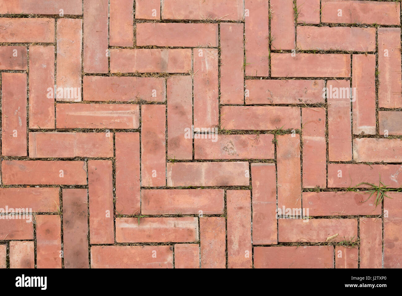 Pattern or texture of pavement in the park Stock Photo - Alamy