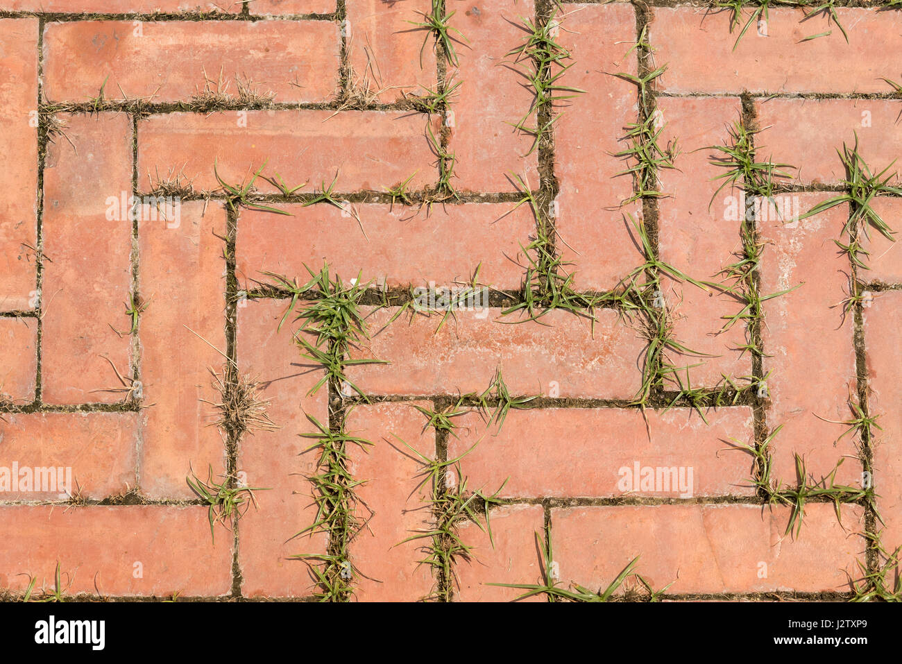 Pattern or texture of pavement in the park Stock Photo - Alamy
