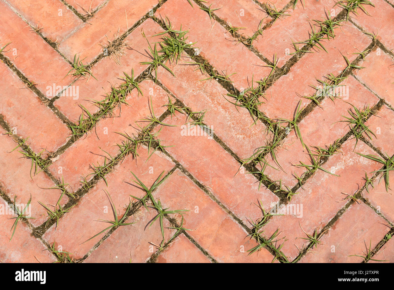 Pattern or texture of pavement in the park Stock Photo - Alamy