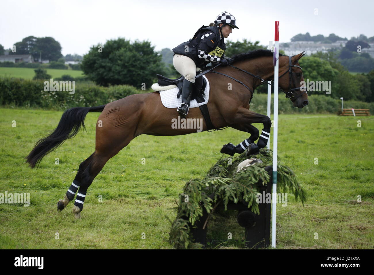 Hobby horse competition hi-res stock photography and images - Alamy