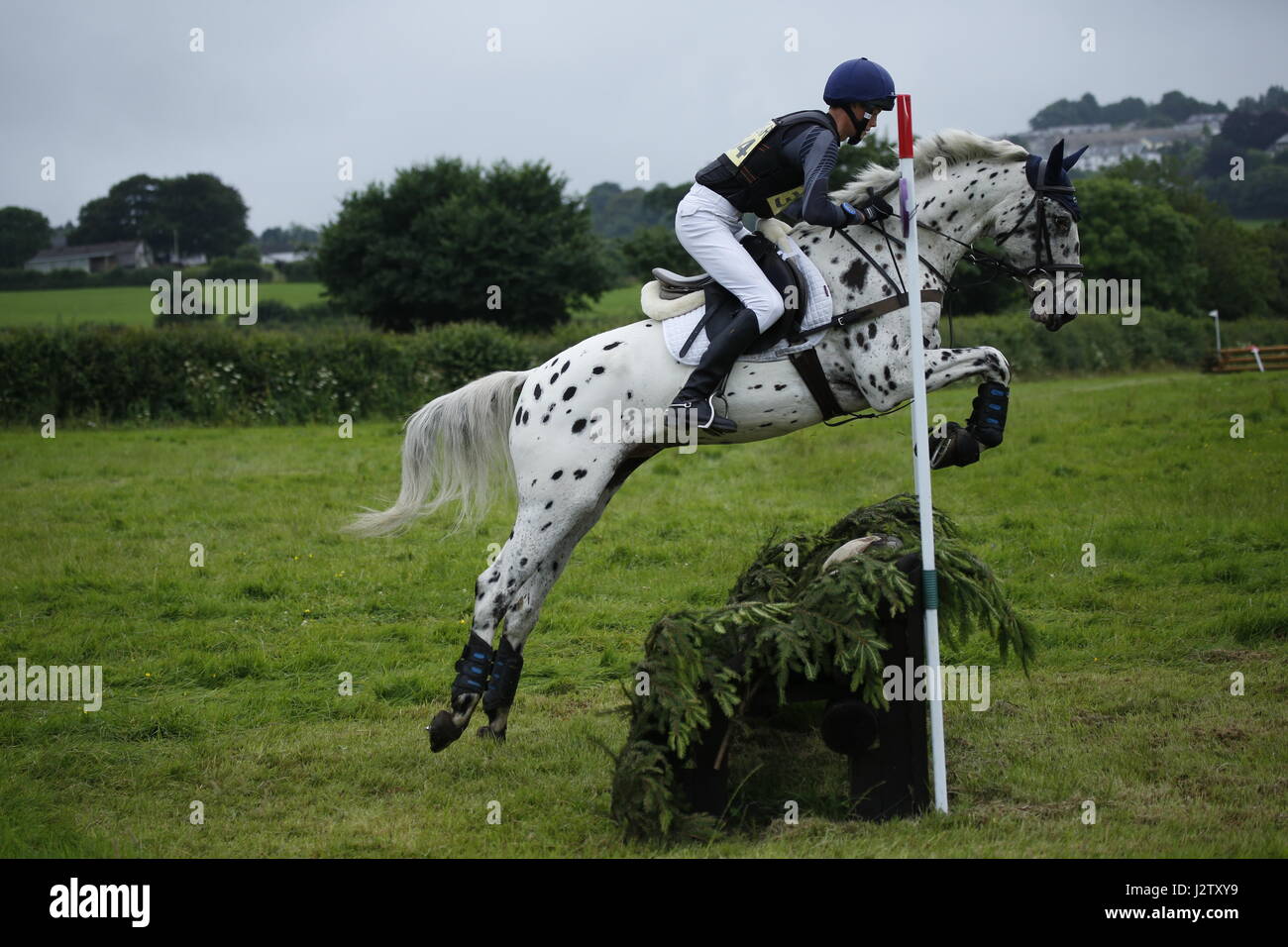 Horseman leaping hi-res stock photography and images - Alamy