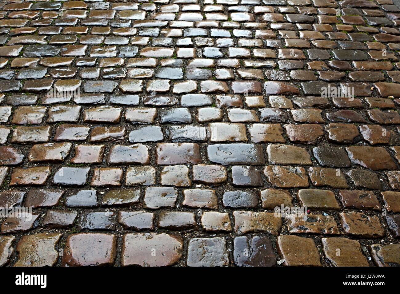 Wet cobblestone pavement texture hi-res stock photography and images ...