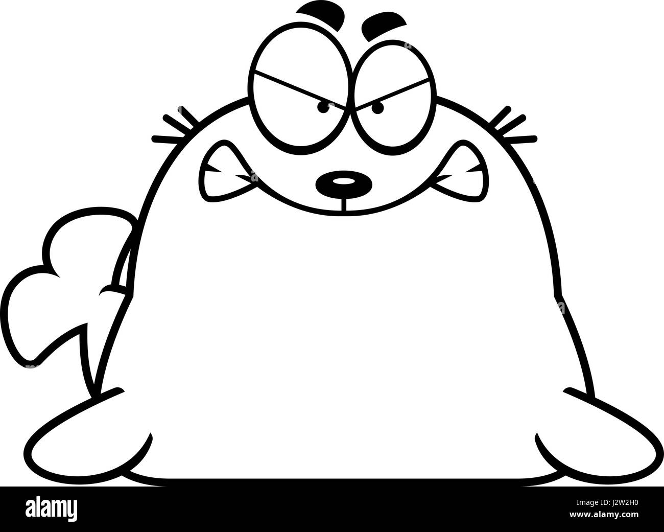 Angry seal hi-res stock photography and images - Alamy