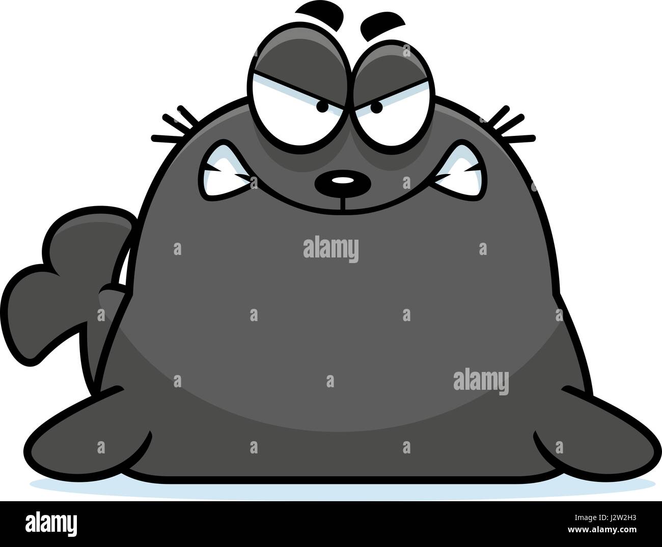 A cartoon illustration of a seal looking angry Stock Vector Image & Art ...
