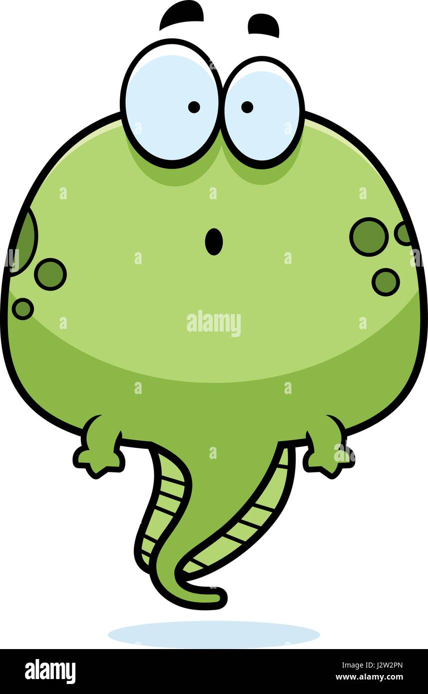 A cartoon illustration of a tadpole looking surprised Stock Vector ...