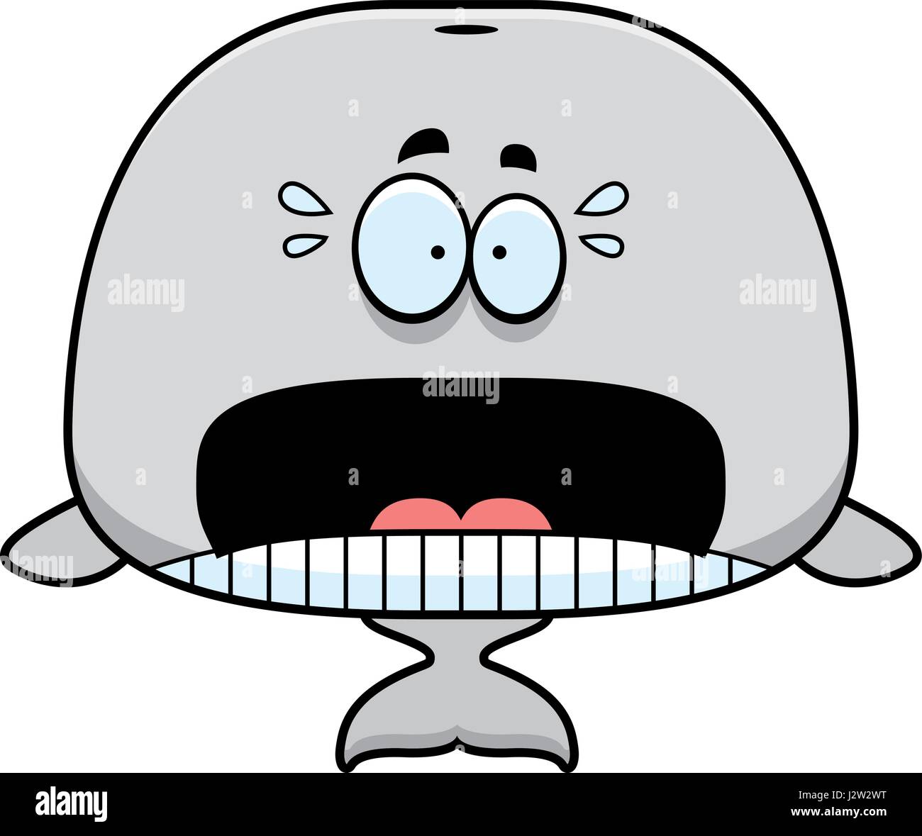 A cartoon illustration of a whale looking scared Stock Vector Image ...