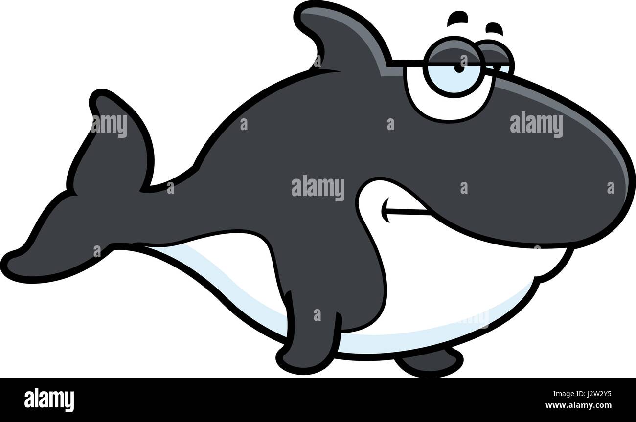 A cartoon illustration of a killer whale looking bored Stock Vector ...