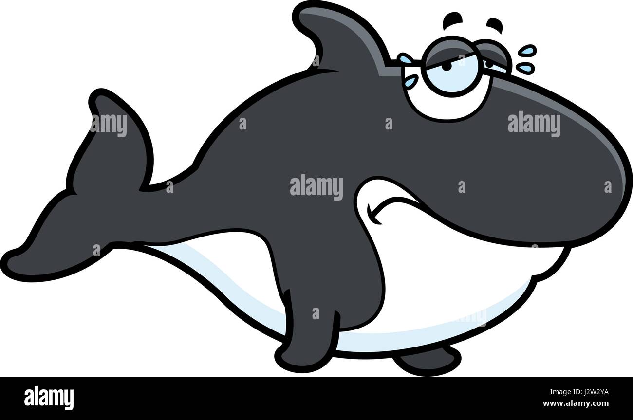 Killer Whale Cartoon Sad