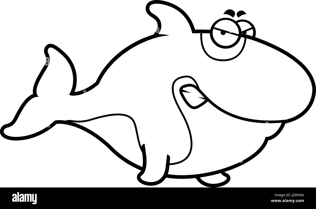 A cartoon illustration of a killer whale with an angry expression Stock ...