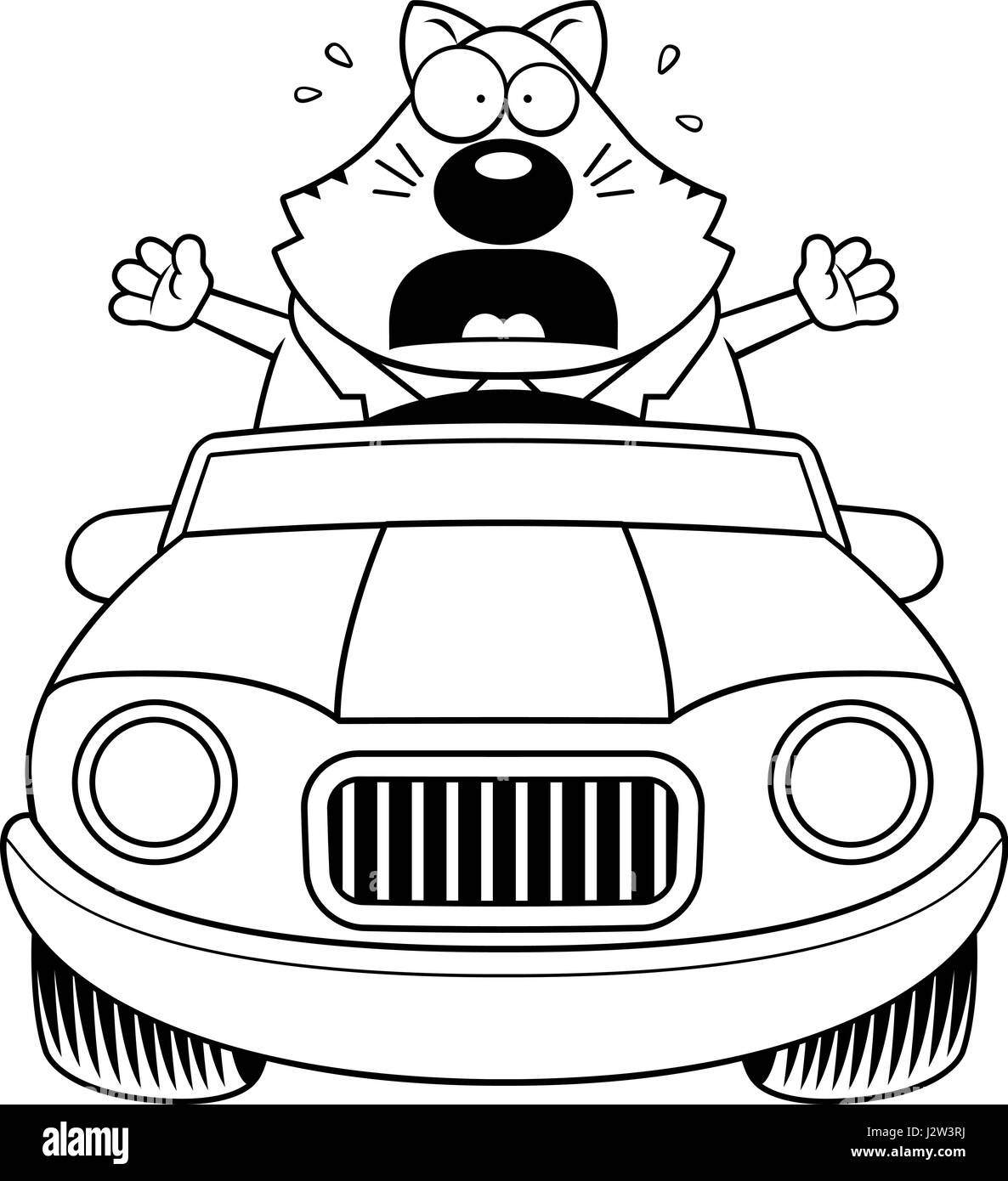 A cartoon illustration of a fat cat driving a car and panicking Stock ...