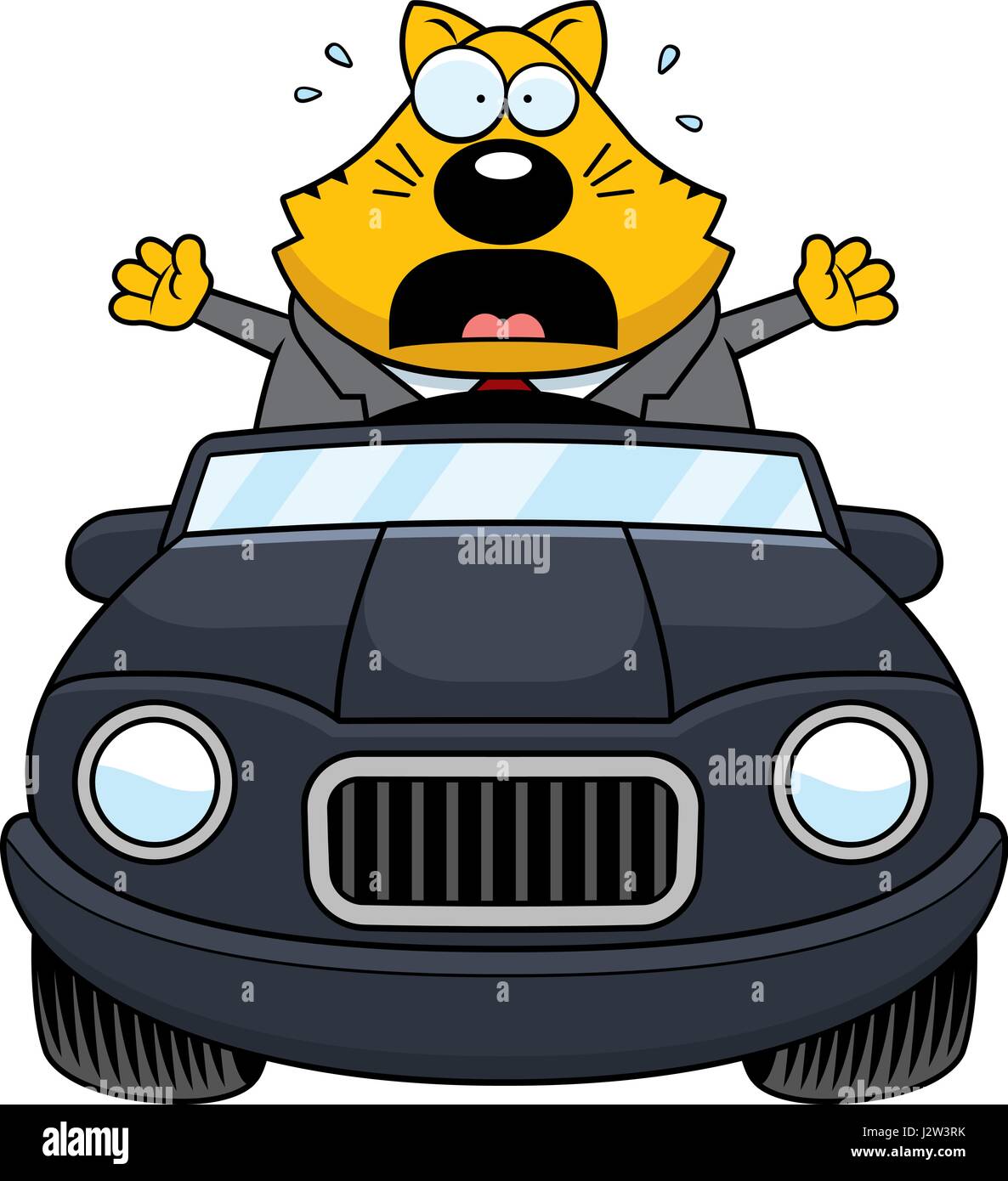 A cartoon illustration of a fat cat driving a car and panicking Stock ...