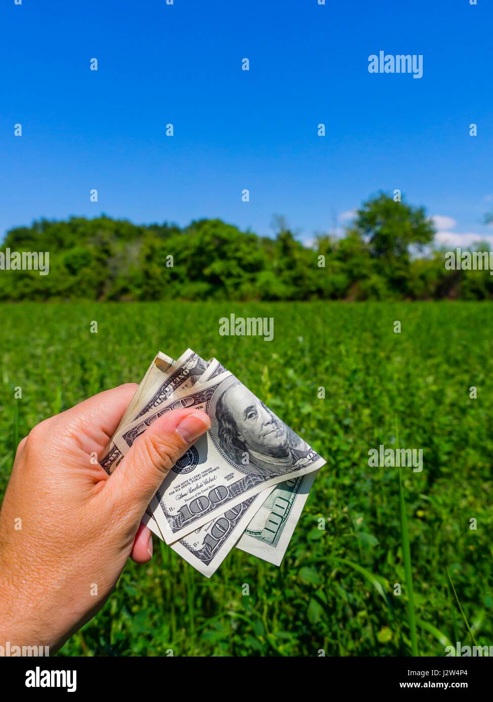 Paper money dollar dollars hand before nature in vertical format copy ...