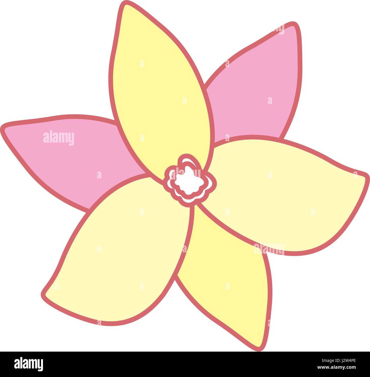 beautiful and tropical flower plants with petals Stock Vector Image ...