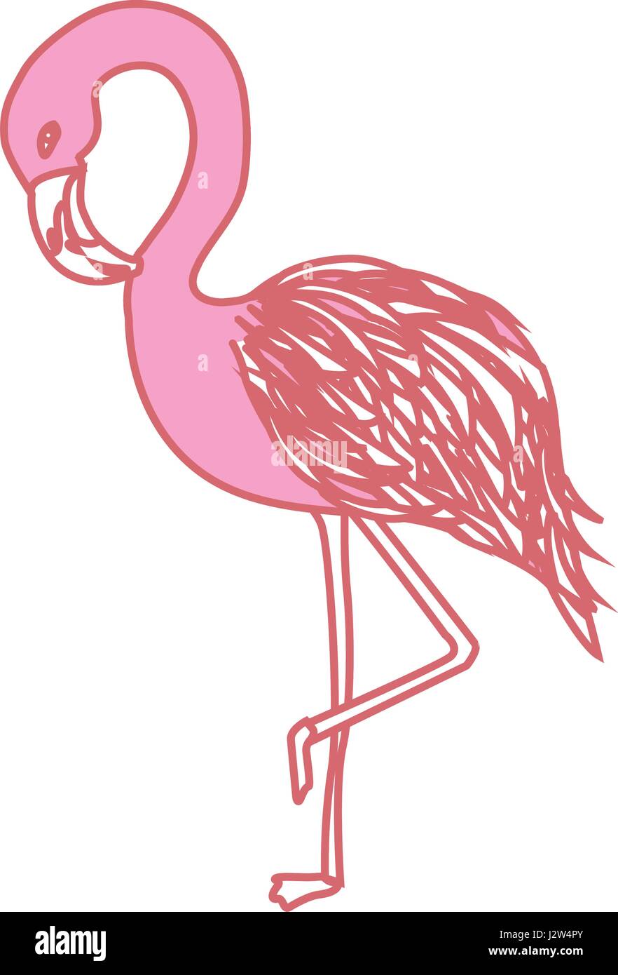 Natural cute flamingo birds Stock Vector Images - Alamy