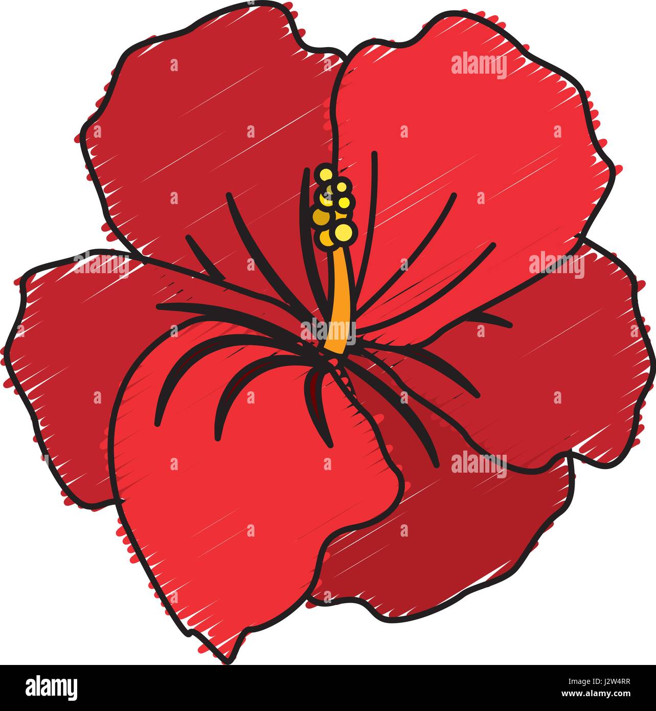 beautiful and tropical flower plants with petals Stock Vector Image ...