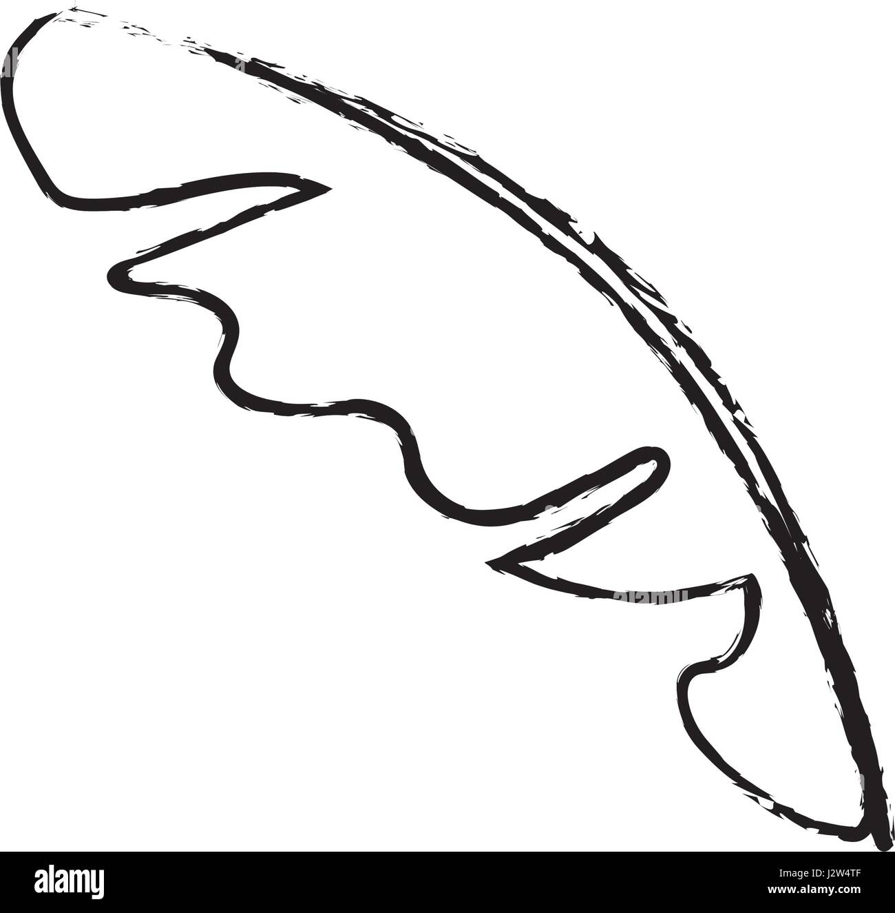 line beautiful leaf of the exotic plants in the forest Stock Vector ...