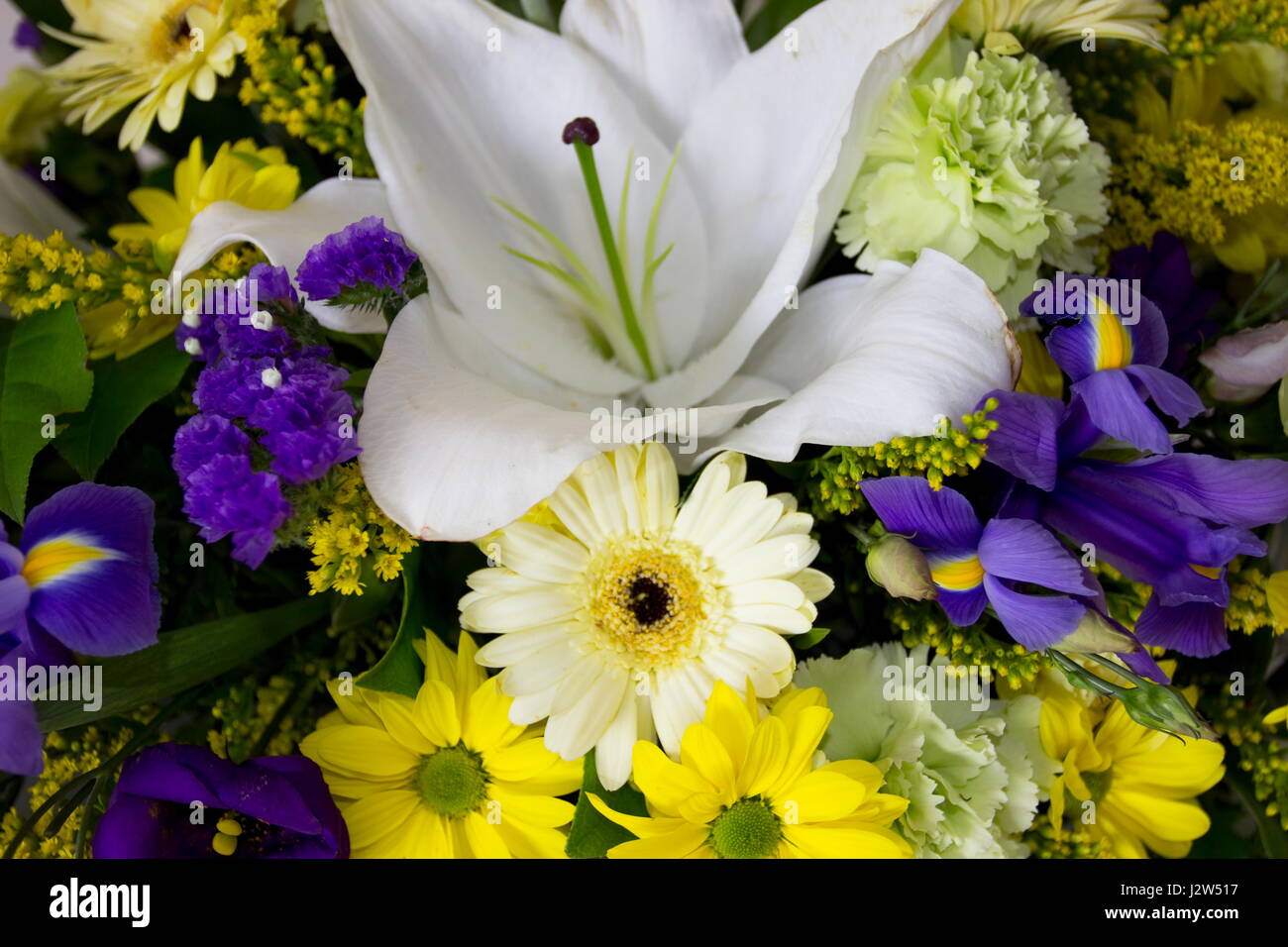 Florist display displays hi-res stock photography and images - Alamy