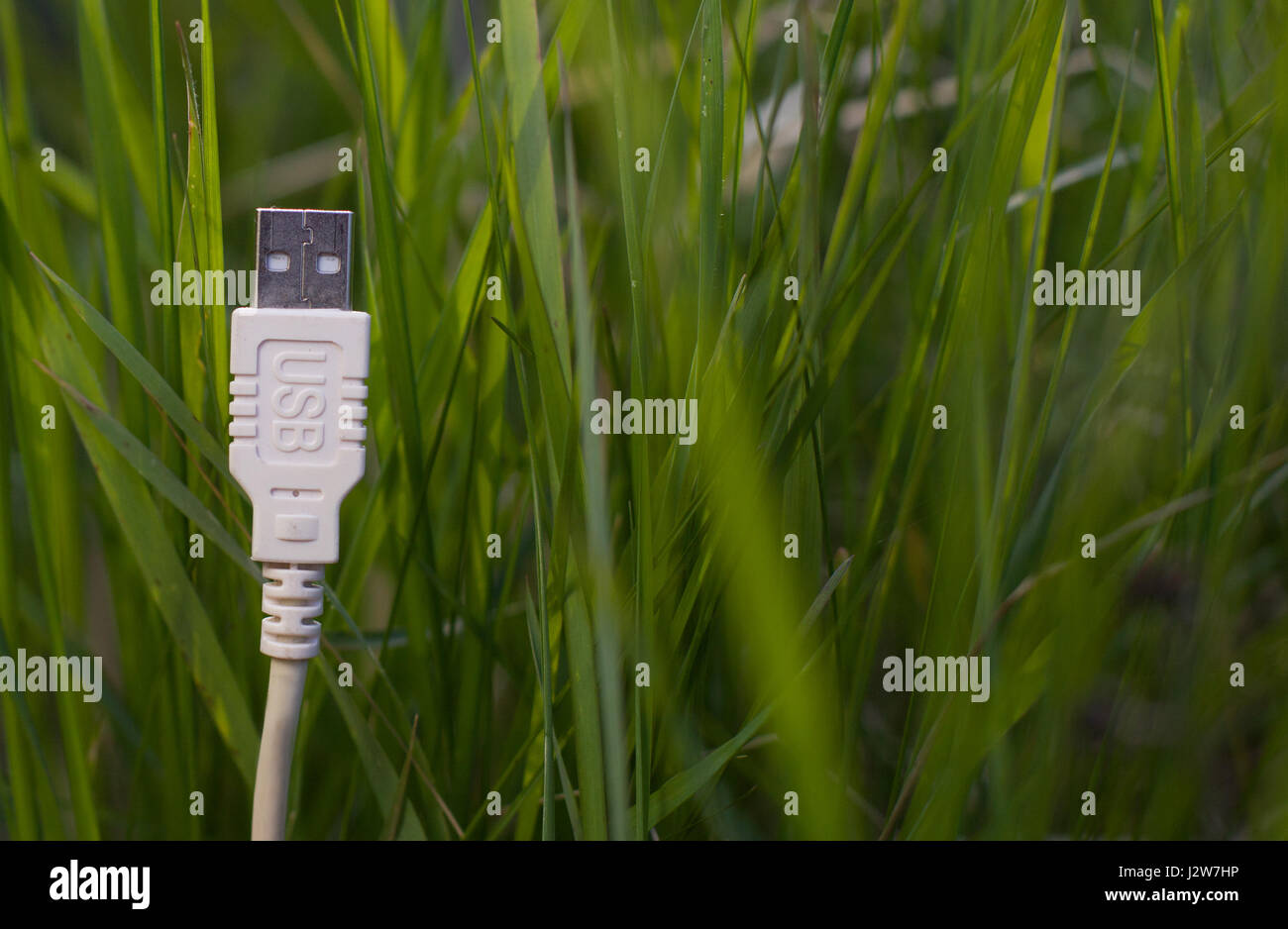 Green computer mouse on grass hi-res stock photography and images - Alamy