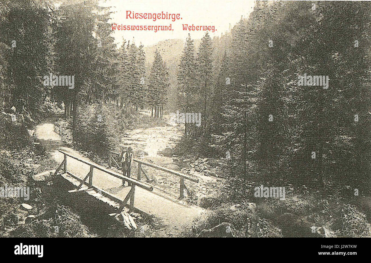 Bile Painting High Resolution Stock Photography and Images - Alamy