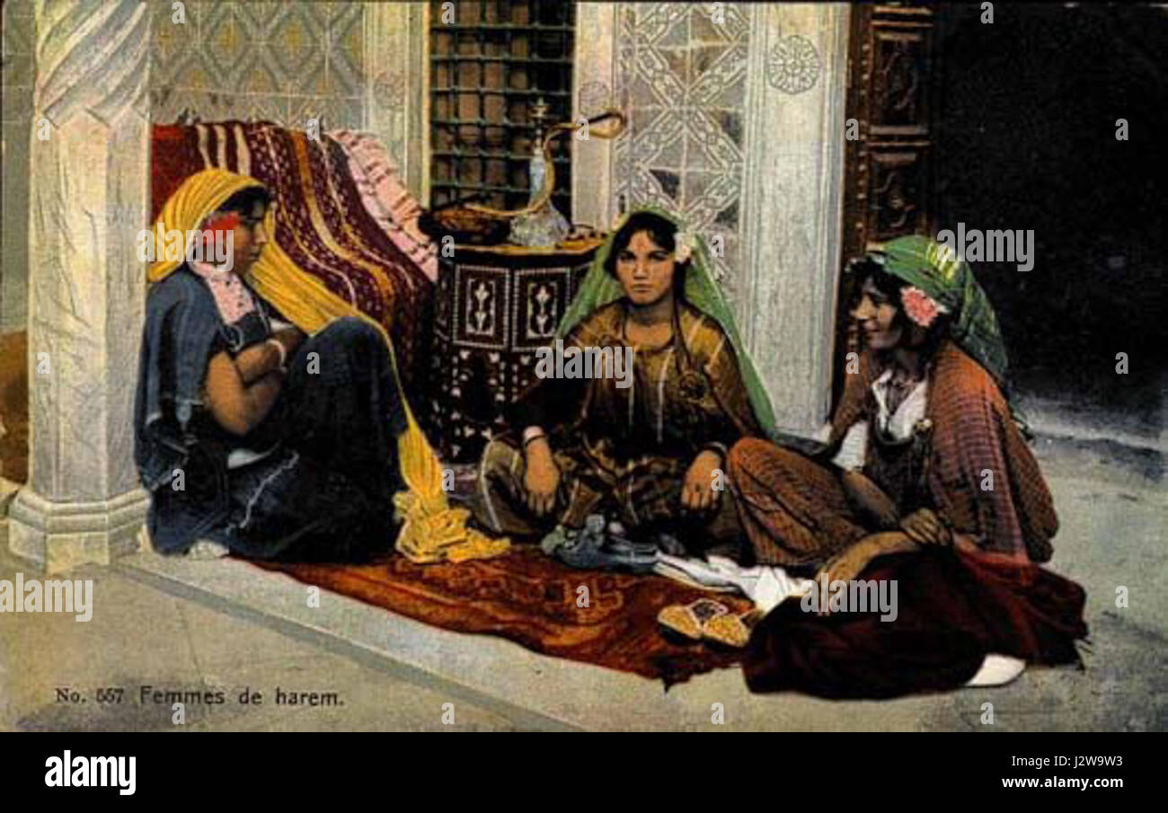 'Femmes de Harem' refers to a work that depicts the women of a harem ...