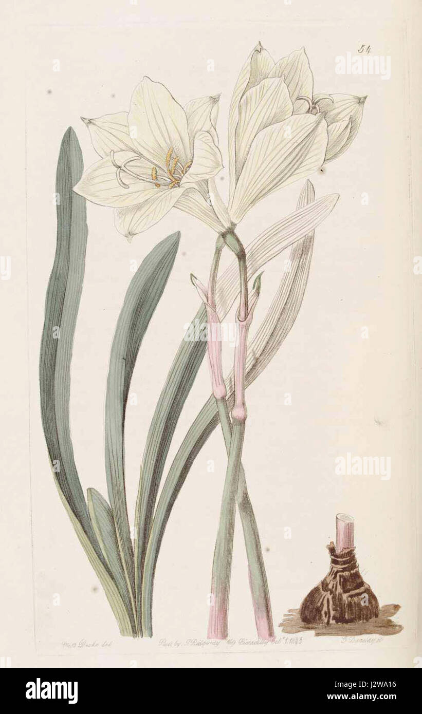 Native north america after hi-res stock photography and images - Alamy