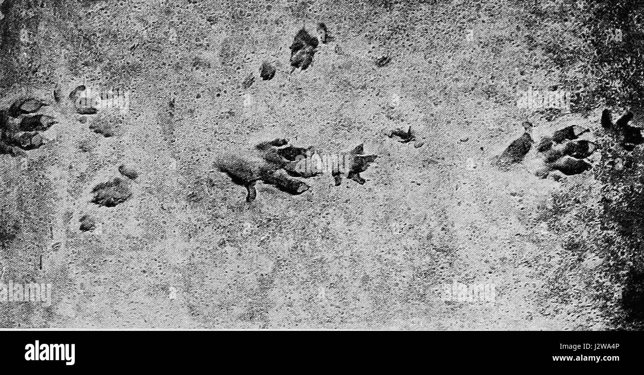 A brief history of the world, providing concise insights into major ...