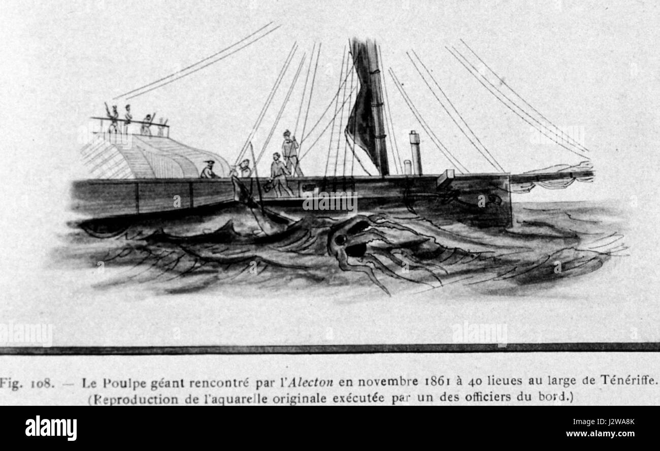 A giant squid observed off Teneriffe in November 1861 Stock Photo - Alamy