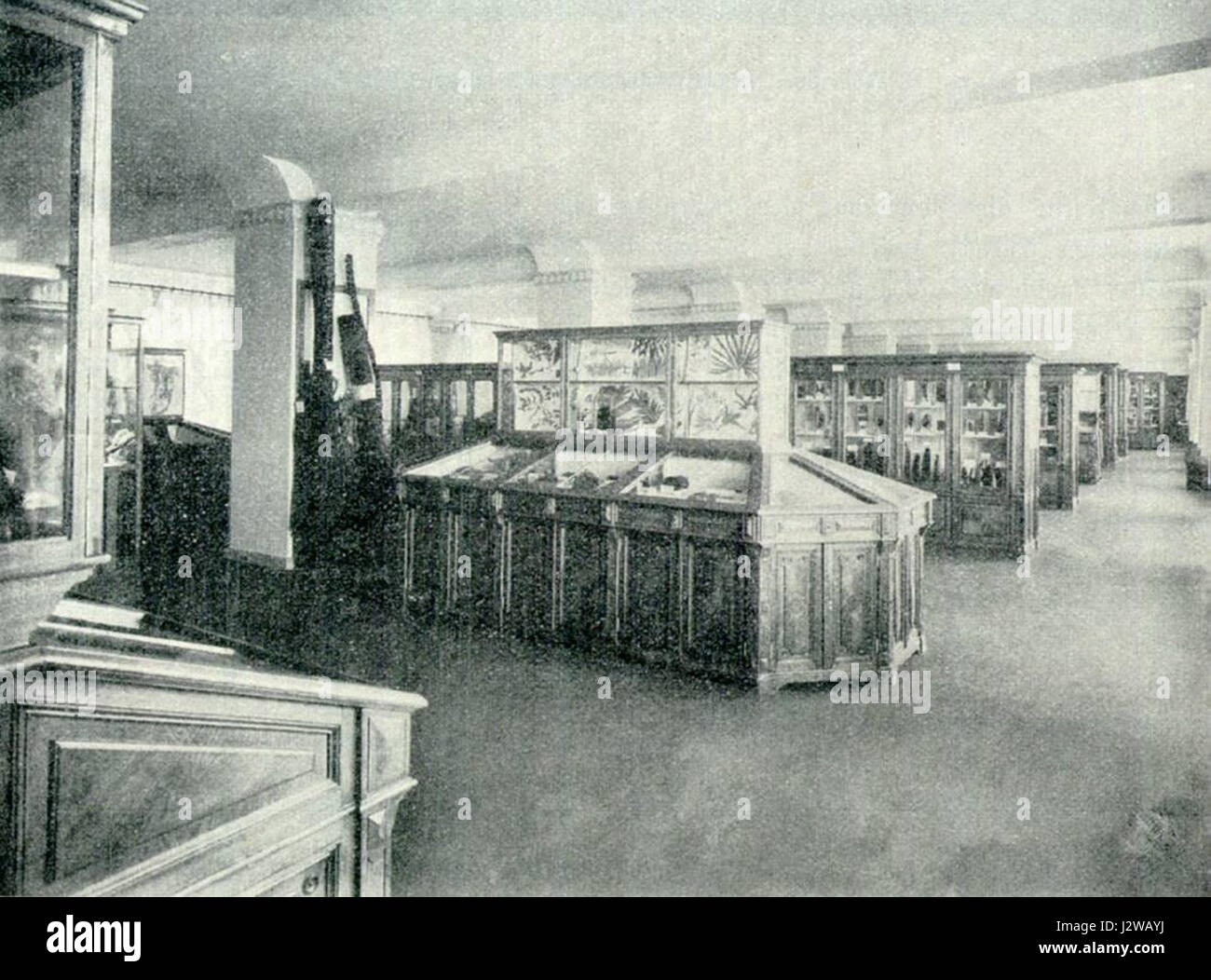 The 1909 Botanisches Museum in Berlin, Germany, showcases a historical ...